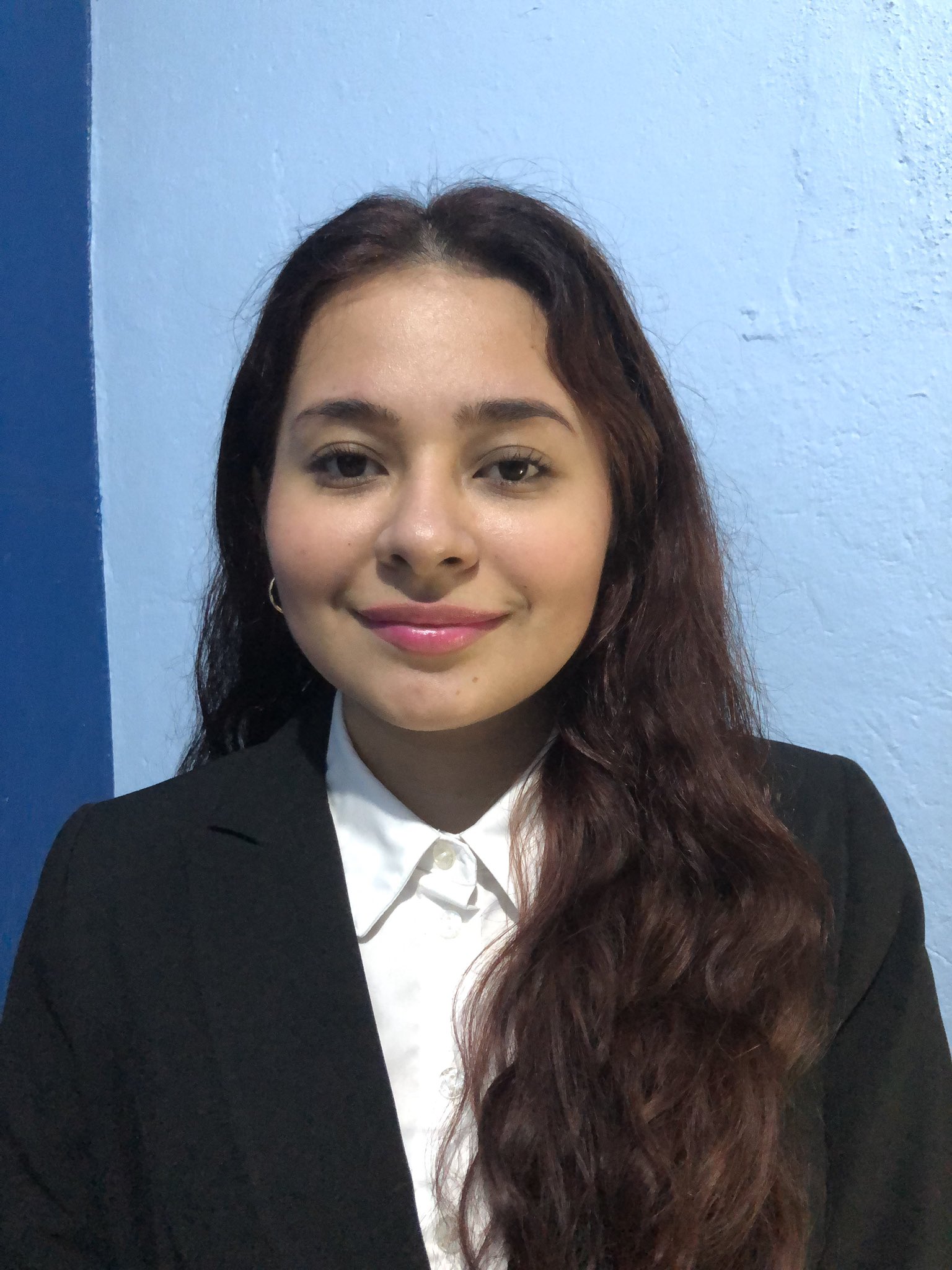 Diana S - High Level Talent